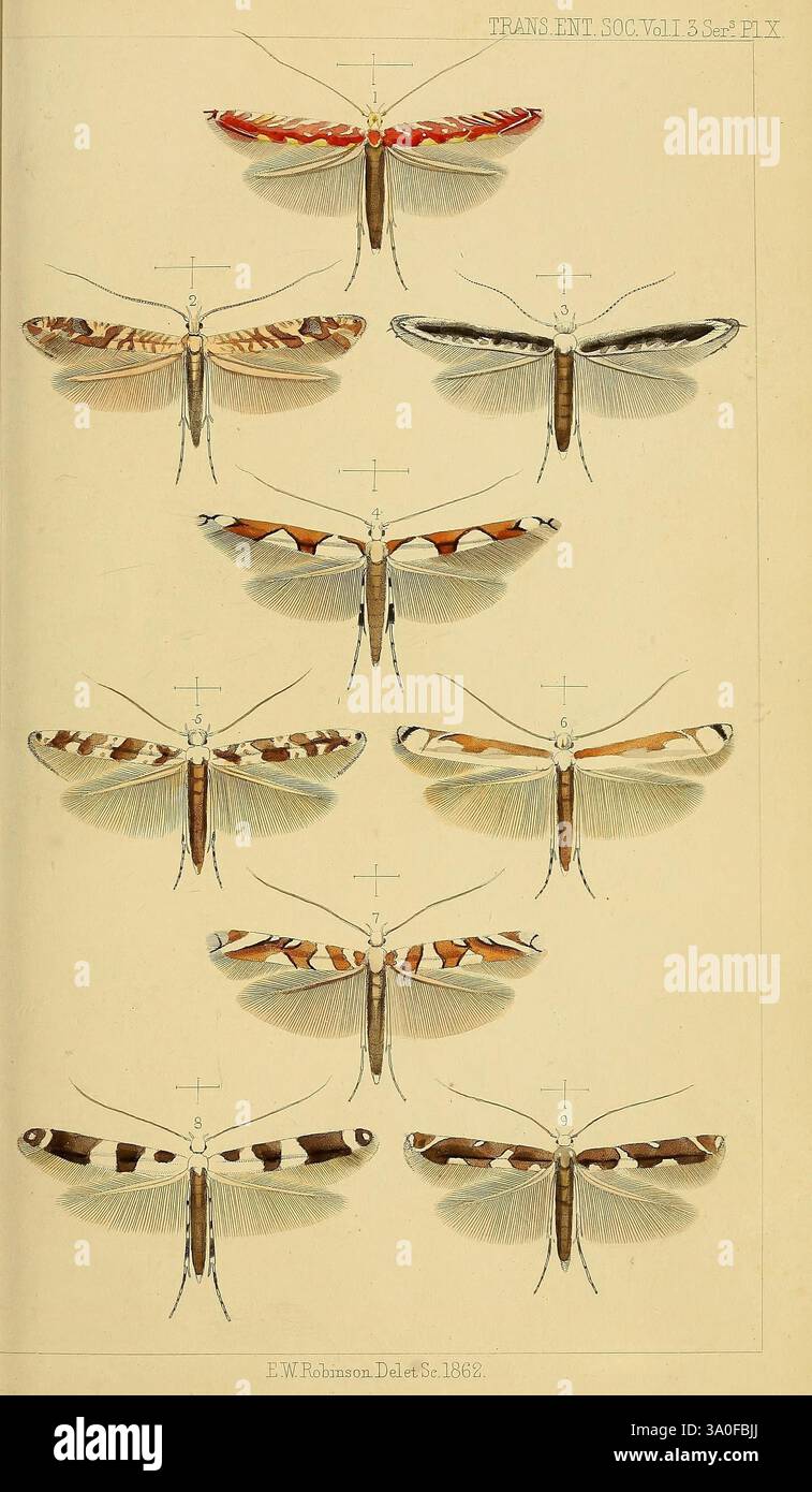 Labeled individually hi-res stock photography and images - Alamy