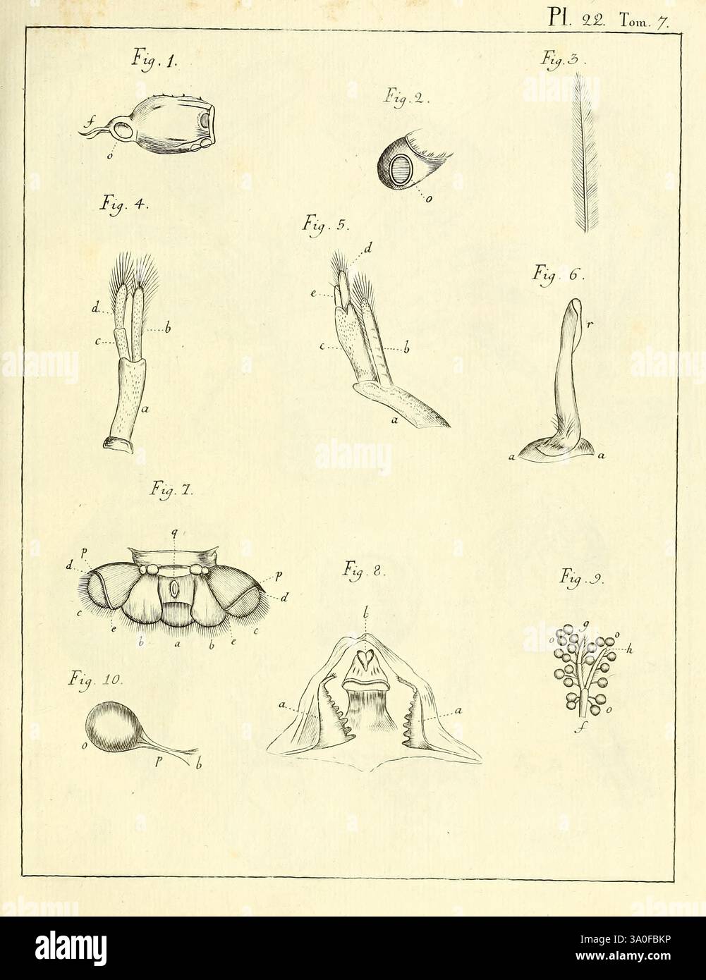 Series of detailed scientific figures hi-res stock photography and ...