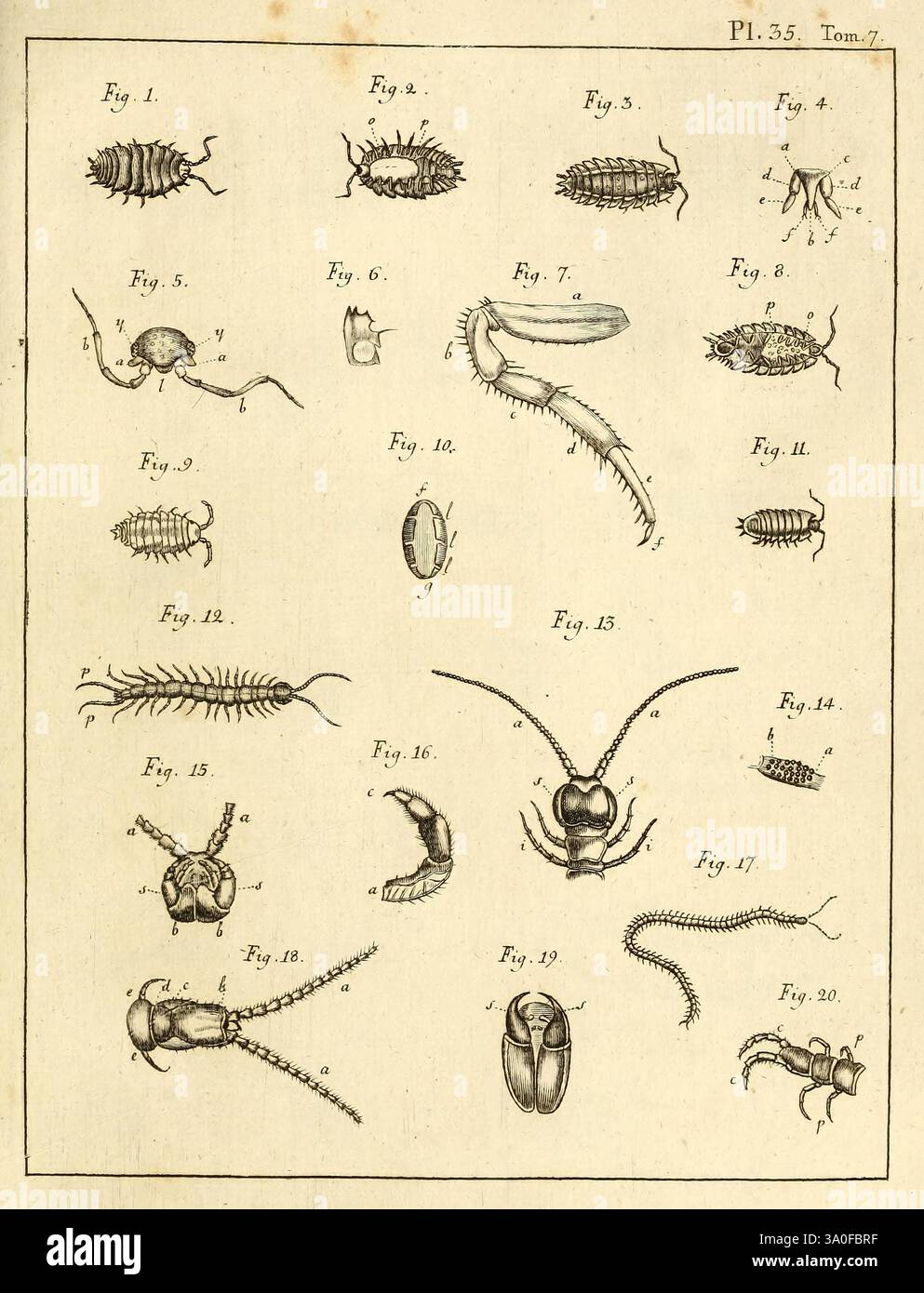 Highlighting specific body structures hi-res stock photography and ...