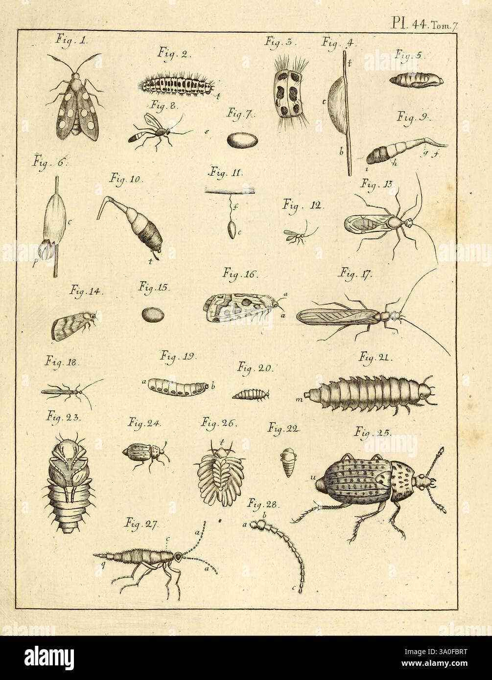 Illustration highlights different stages of life hi-res stock ...