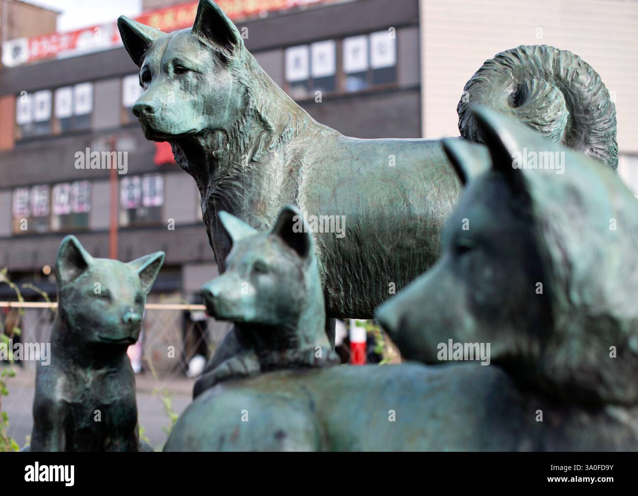 Photo shows one of the statues dedicated to the Akita Inu in Odate City ...