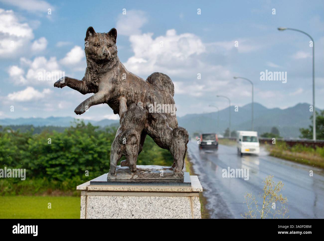 Photo shows one of the statues dedicated to the Akita Inu in Odate City ...