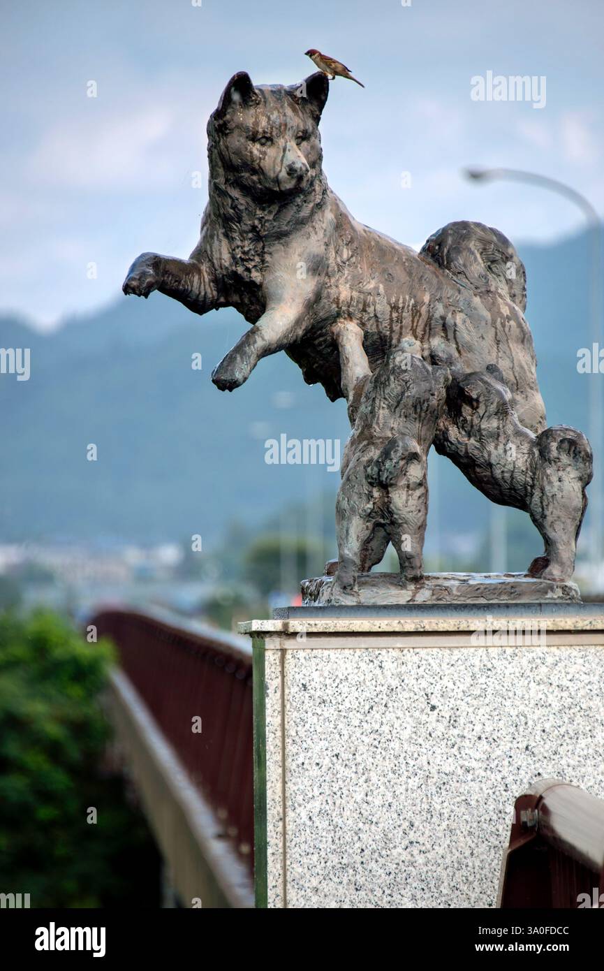 Photo shows one of the statues dedicated to the Akita Inu in Odate City ...