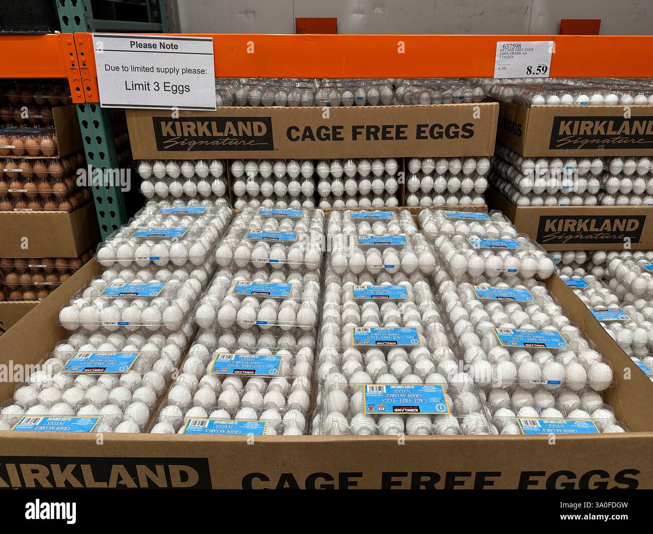 Northville, Michigan, USA - March 2, 2025: Egg shortage causing prices ...