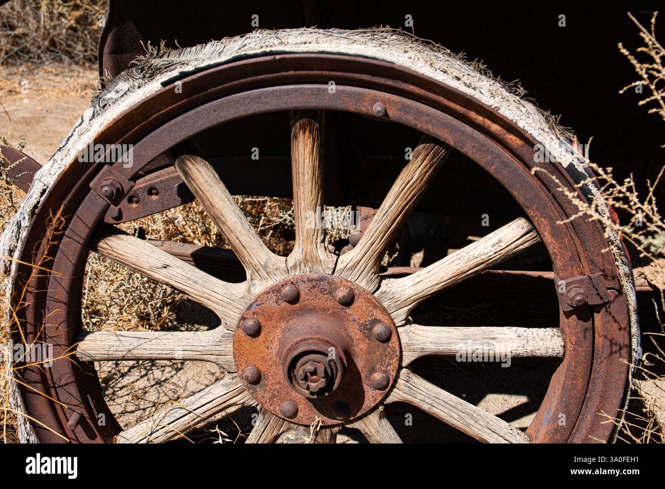 Vintage Model T wheel with a steel rim and wooden spokes. The rubber ...