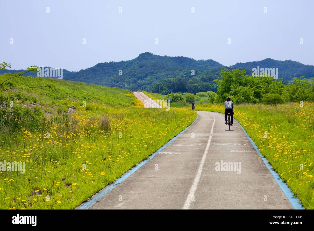 Buyeo County, South Korea - May 27, 2021: Cyclists ride along a winding ...