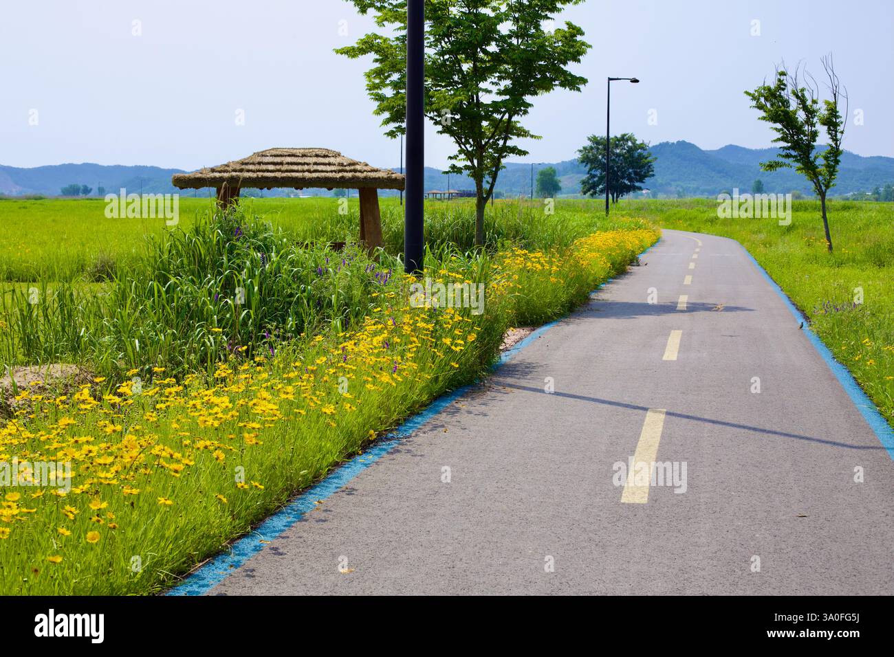 Buyeo County, South Korea - May 27, 2021: A winding cycling path at ...