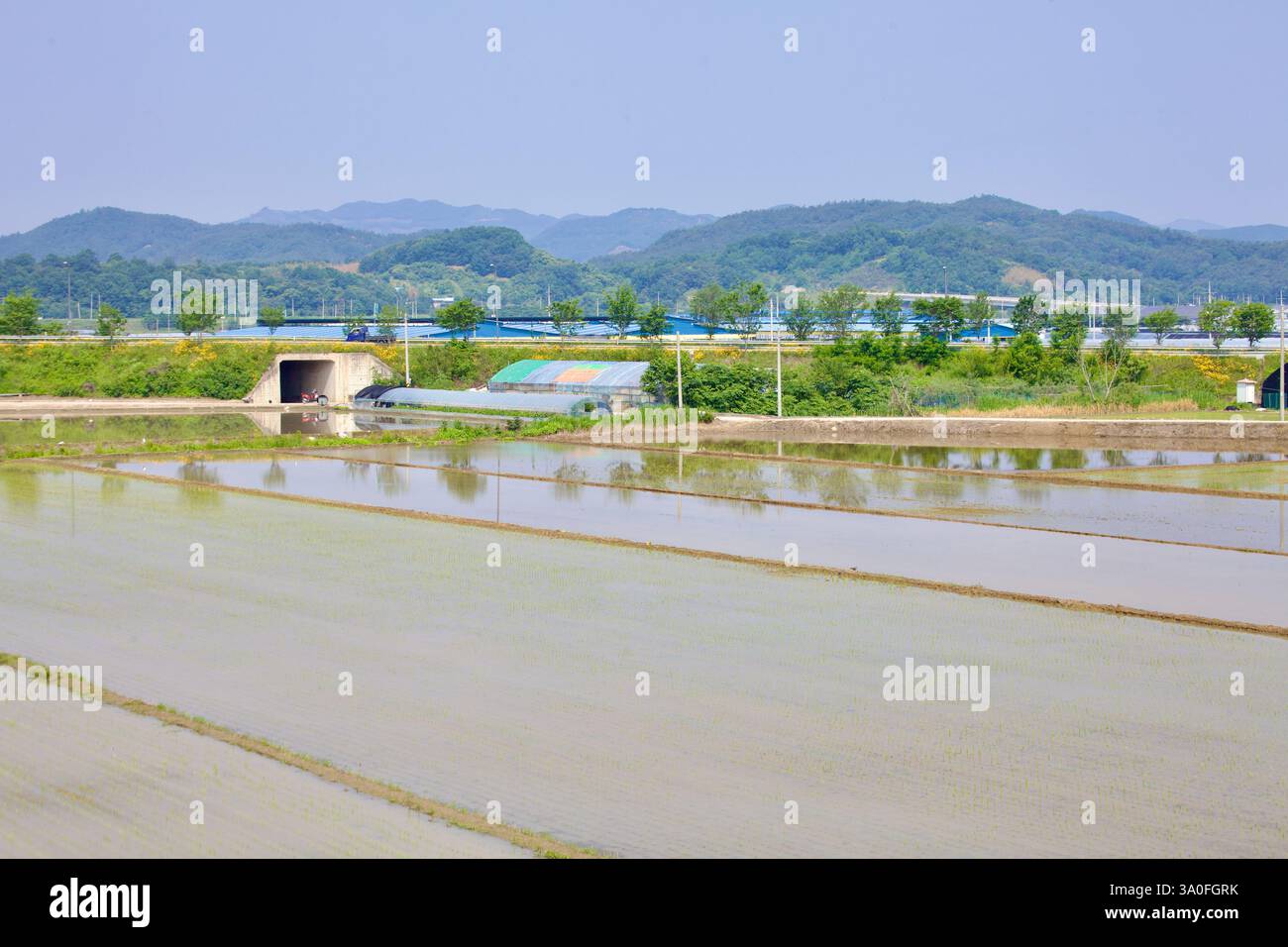 Buyeo County, South Korea - May 27, 2021: A rural landscape featuring ...