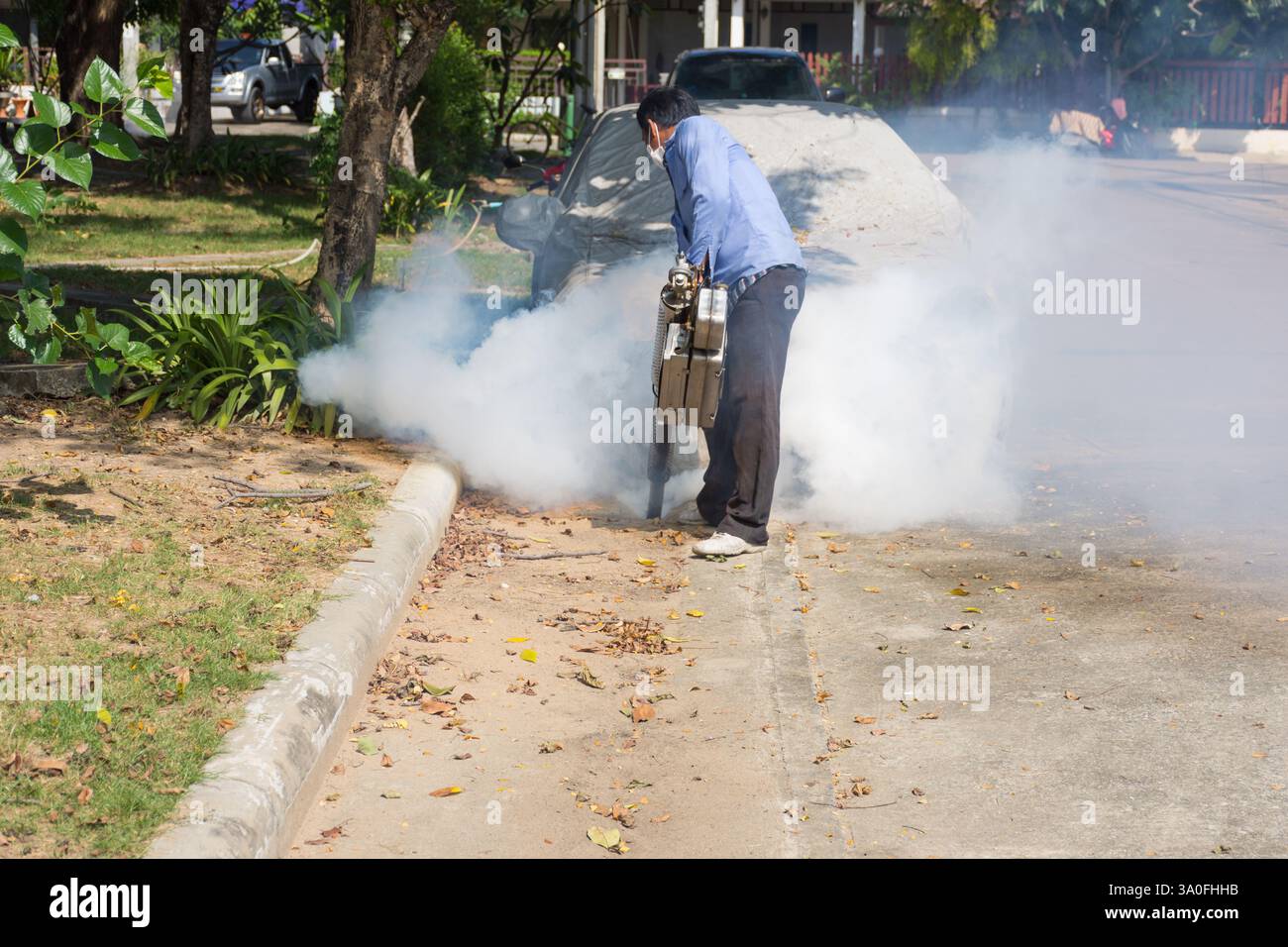 People fogging DDT spray kill mosquito for control Malaria ...