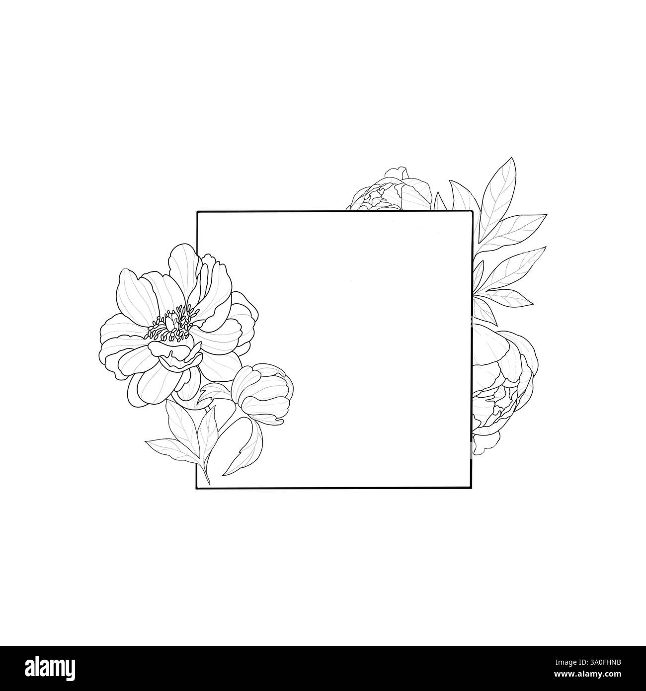 Seamless pattern peonies on Black and White Stock Photos & Images - Alamy