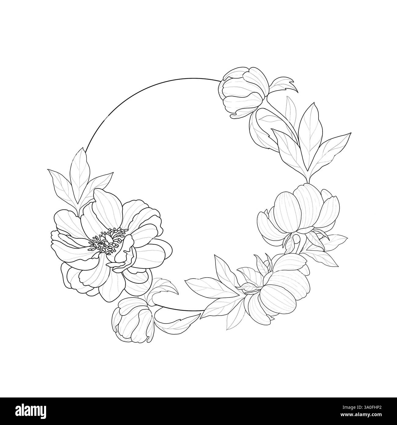Seamless pattern peonies on Black and White Stock Photos & Images - Alamy