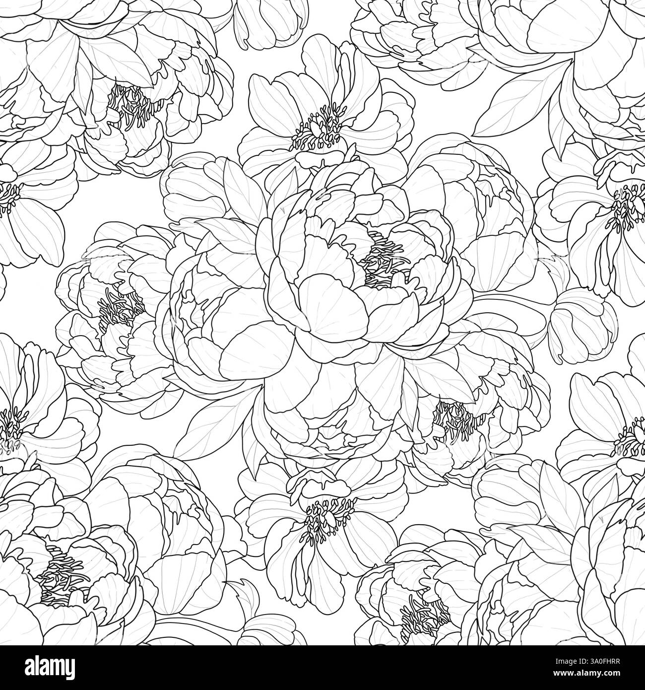 Flowers illustration pattern Black and White Stock Photos & Images - Alamy