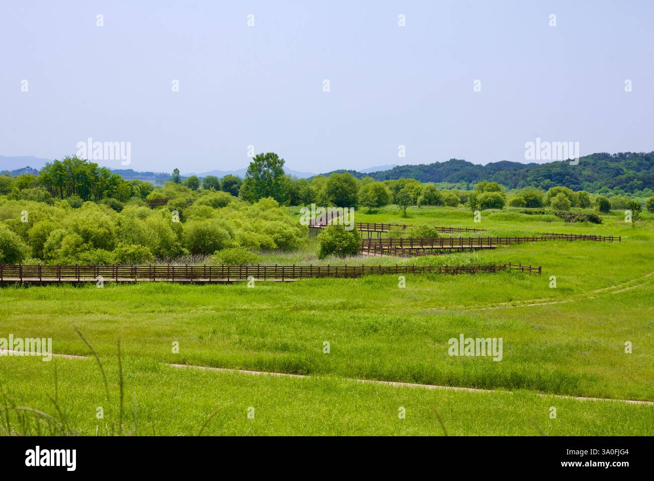 Buyeo County, South Korea - May 27, 2021: A meandering wooden boardwalk ...