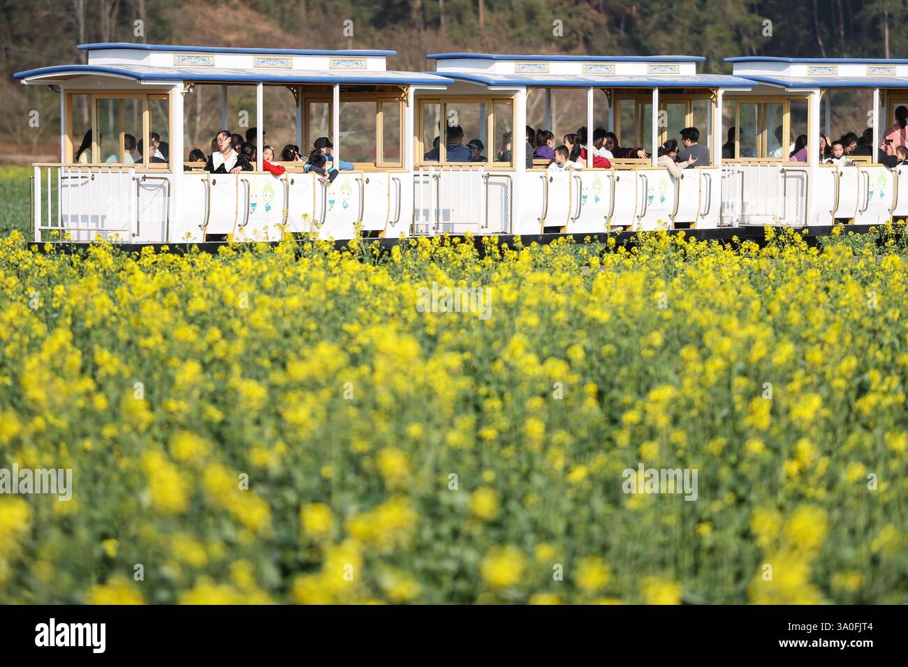 **CHINESE MAINLAND, HONG KONG, MACAU AND TAIWAN OUT** Blooming spring ...