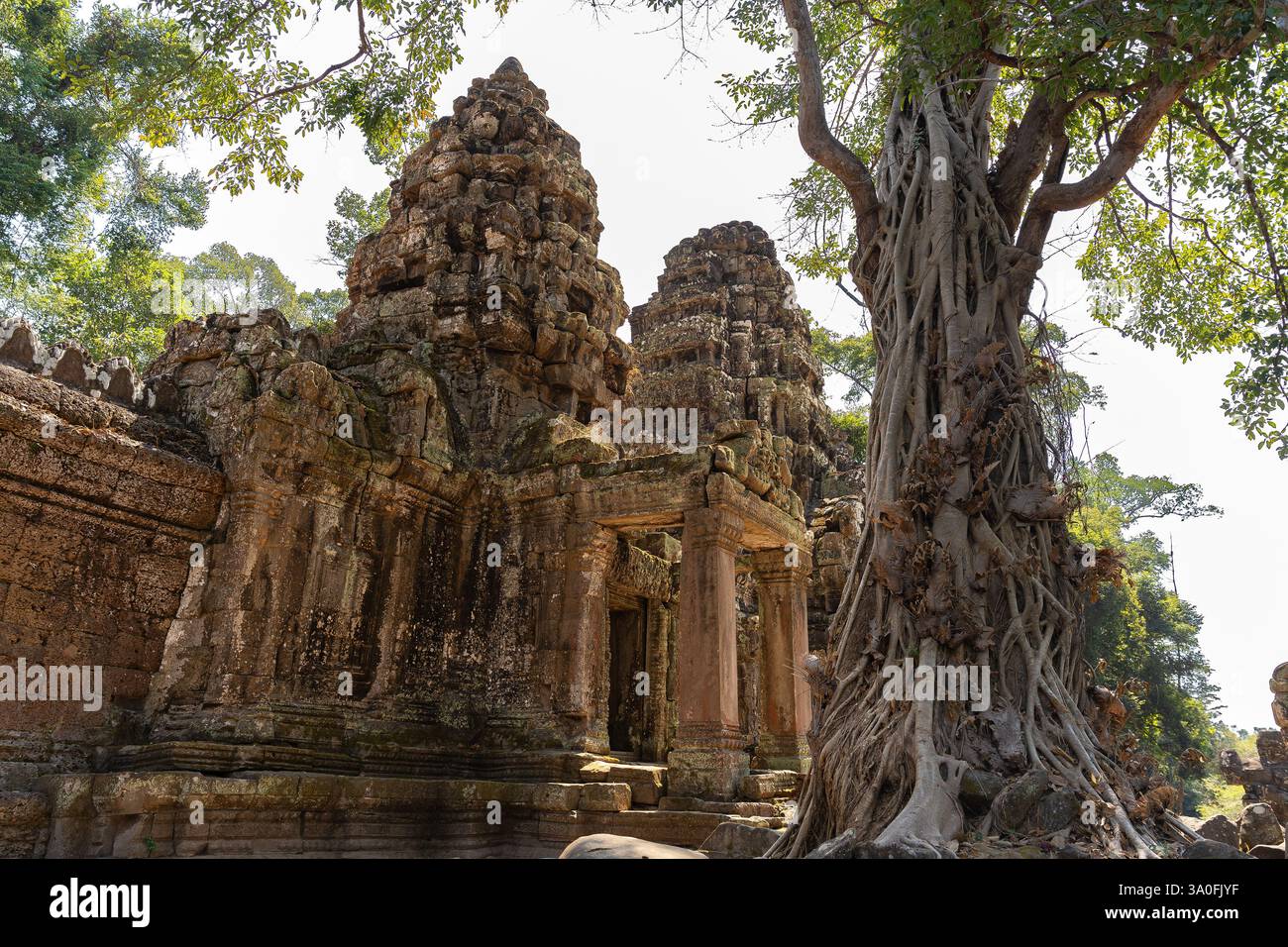 Angkor Wat complex, Ta Prohm Ancient Temple, Cambodia Stock Photo - Alamy