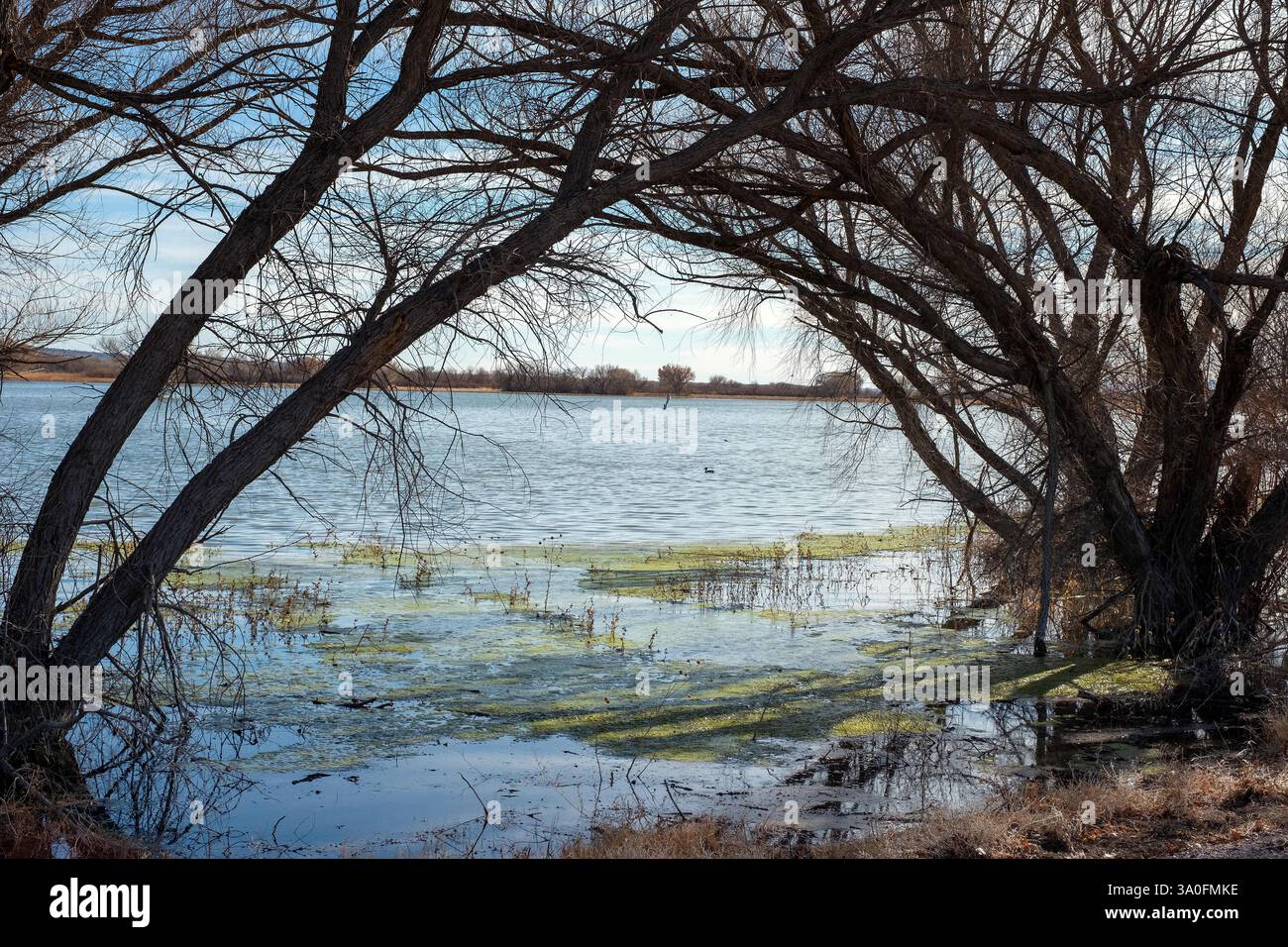 February 10, 2025: Located between the Chihuahua Desert uplands and fed ...