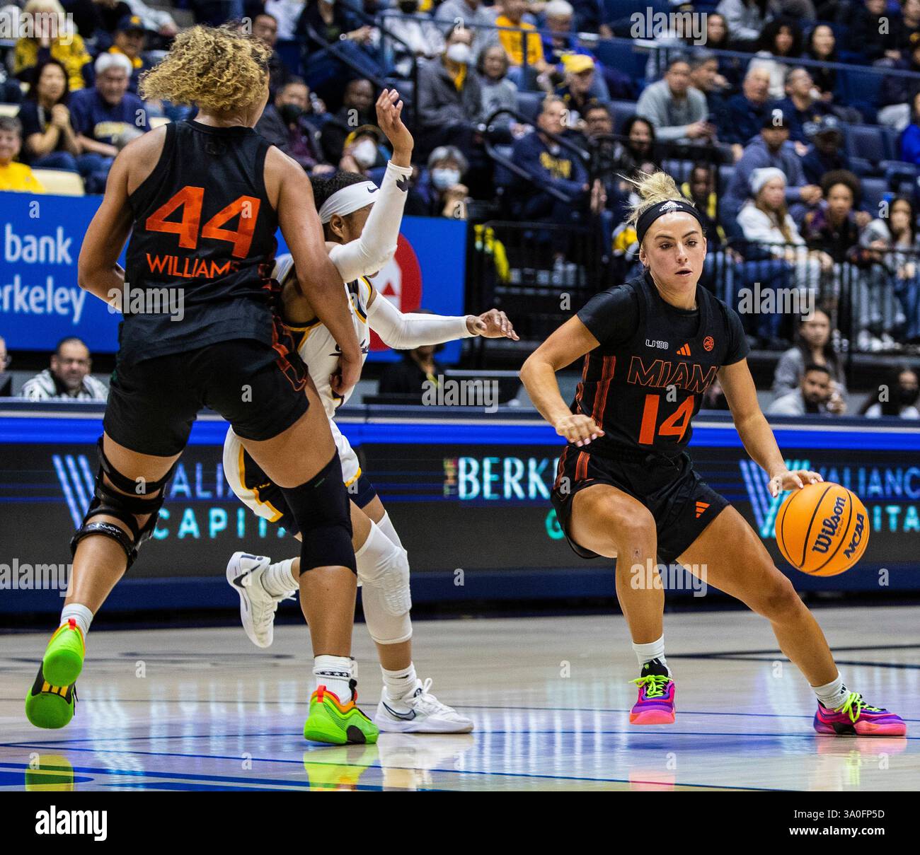 2025 0640 jpg hi-res stock photography and images - Alamy