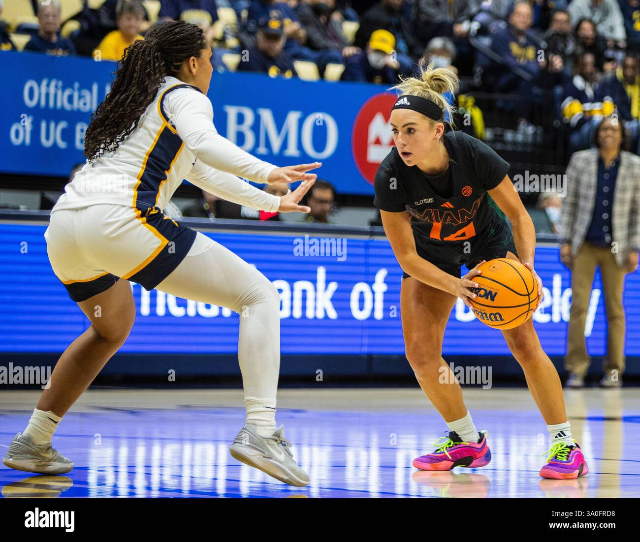 2025 _0983 jpg hi-res stock photography and images - Alamy