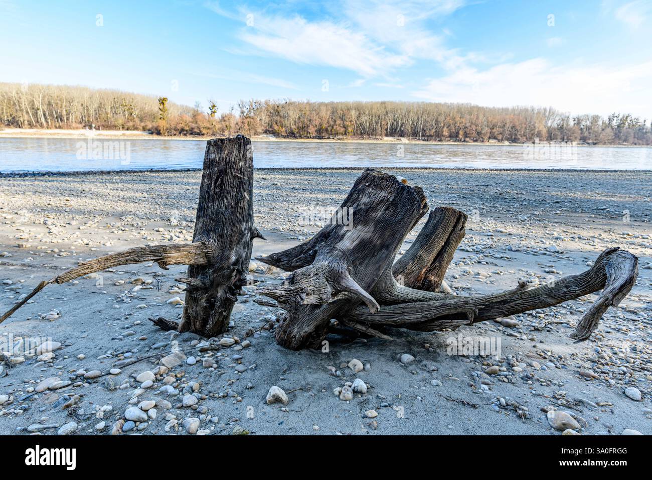 regelsbrunn, austria, 03 march 2025, low water at the danube river in the national park ...
