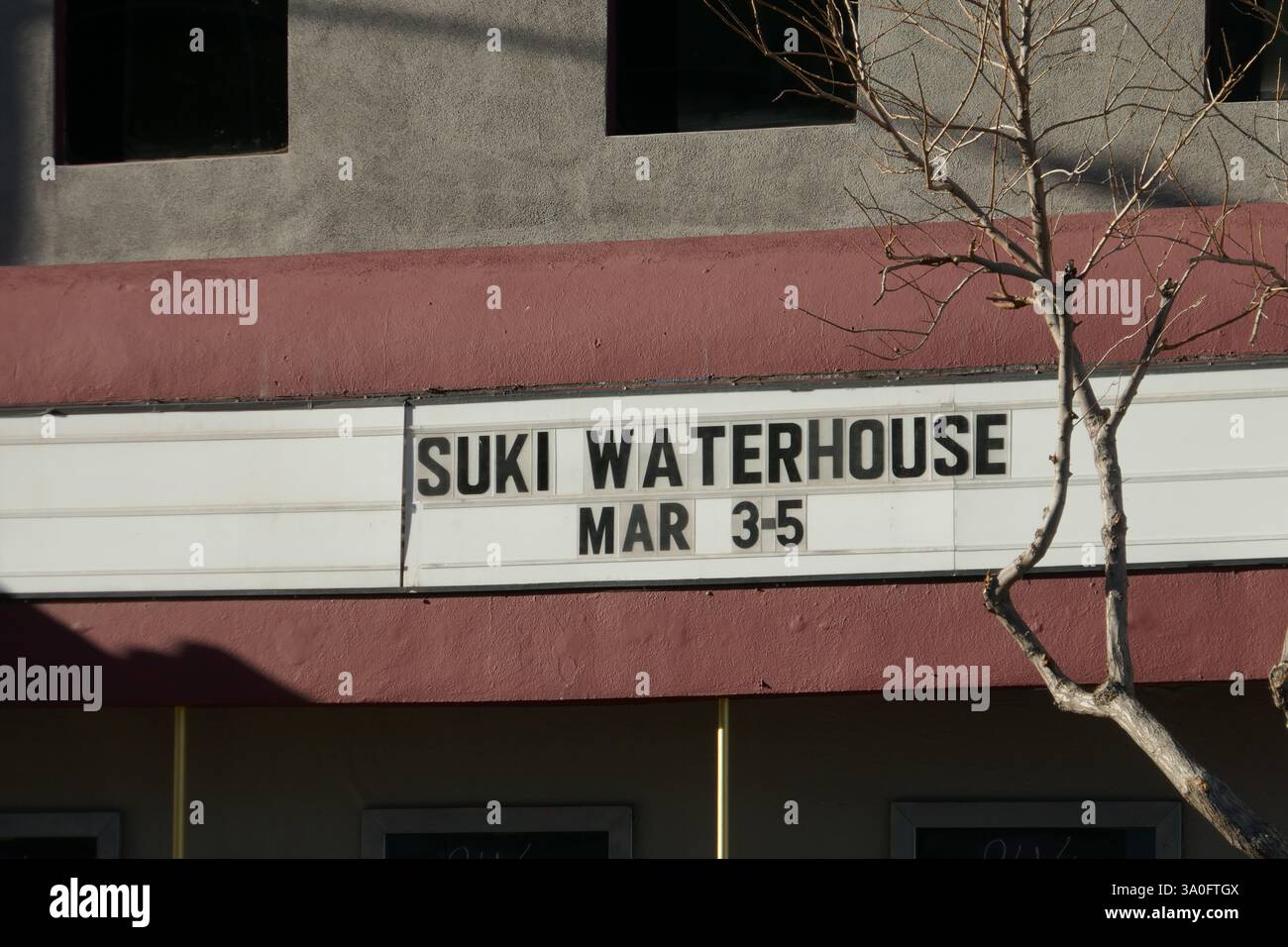 Los Angeles, California, USA 3rd March 2025 Singer Suki Waterhouse ...