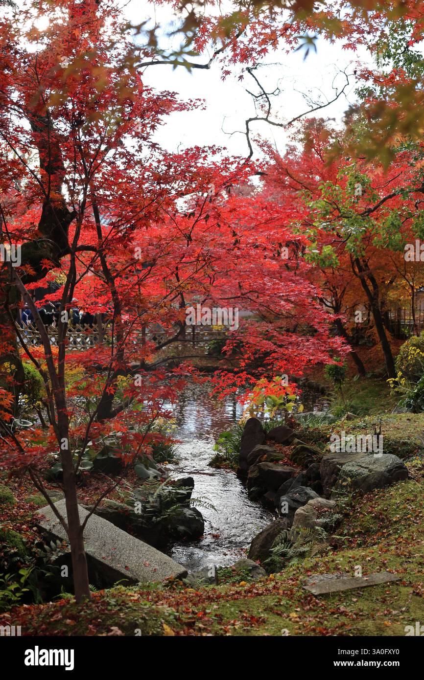 Fall in Japanese garden Stock Photo - Alamy