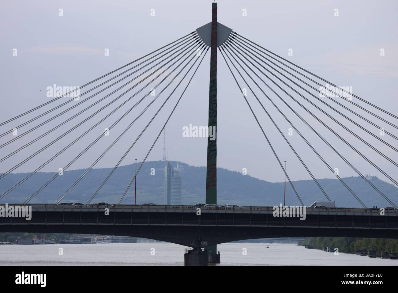 Vienna Austria Cable Suspension Bridge Stock Photo - Alamy
