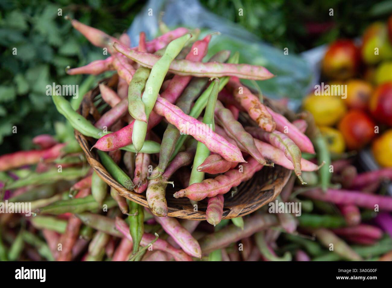 Red bean pods at a market in Oaxaca, Mexico Stock Photo - Alamy