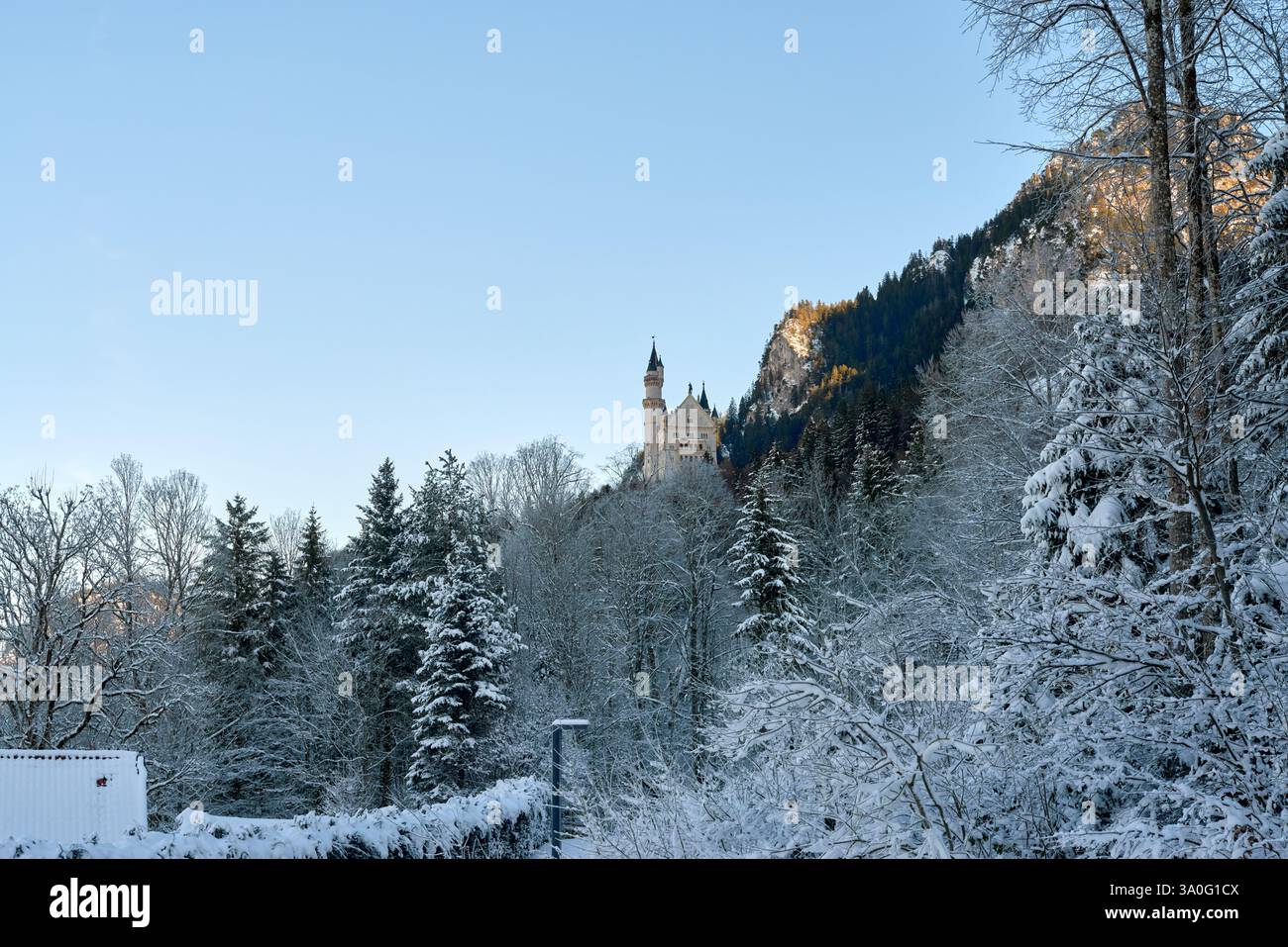 This high-resolution photograph captures the iconic Neuschwanstein Castle nestled on a rocky ...