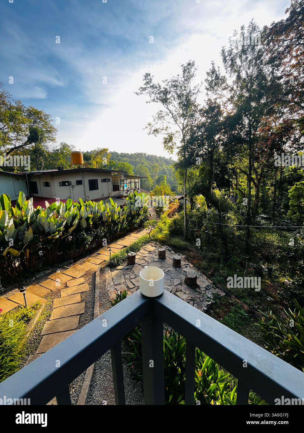 Morningbliss hi-res stock photography and images - Alamy