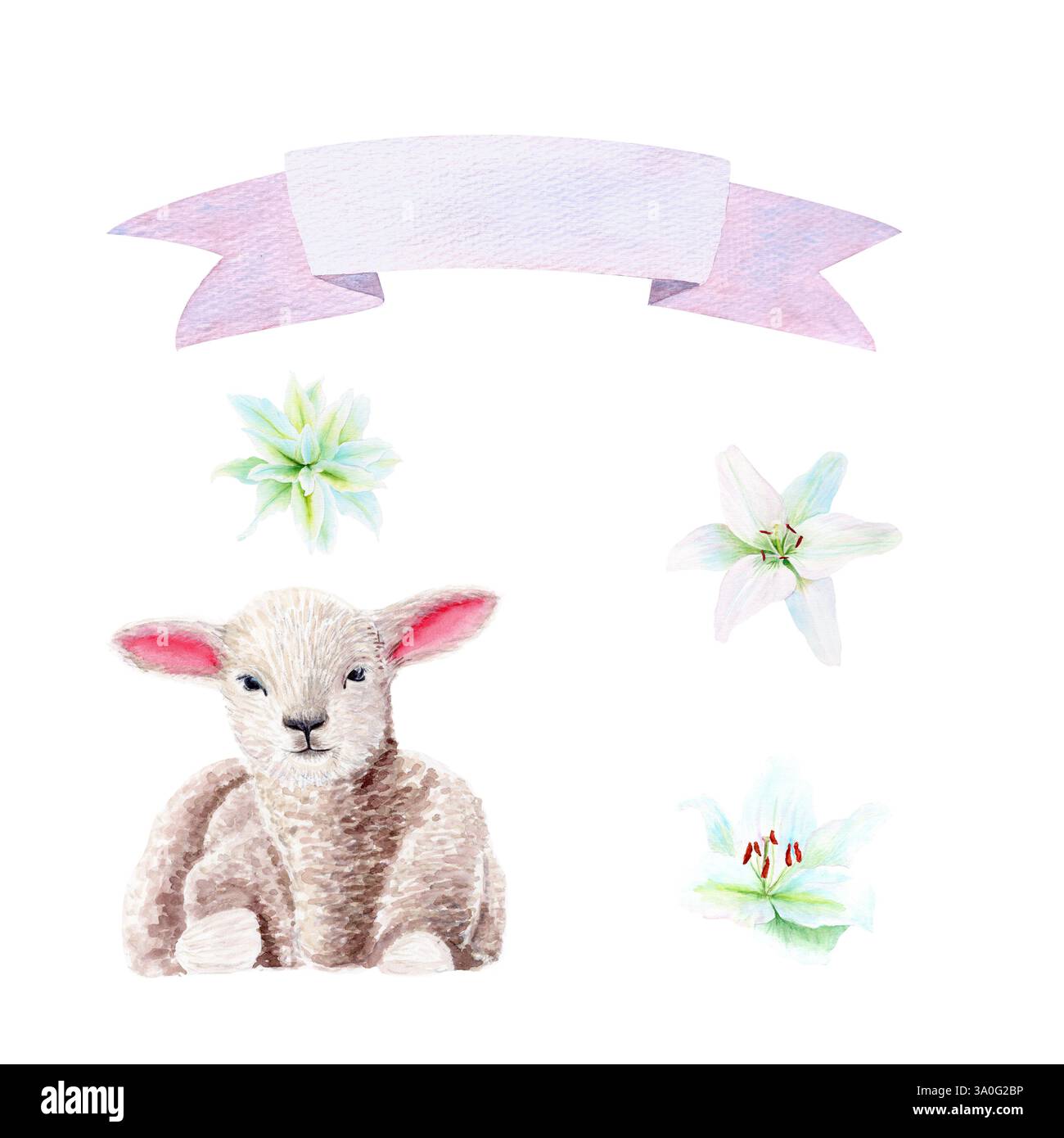 Lamb, lilies, banner watercolor set isolated on white. Clip art perfect ...