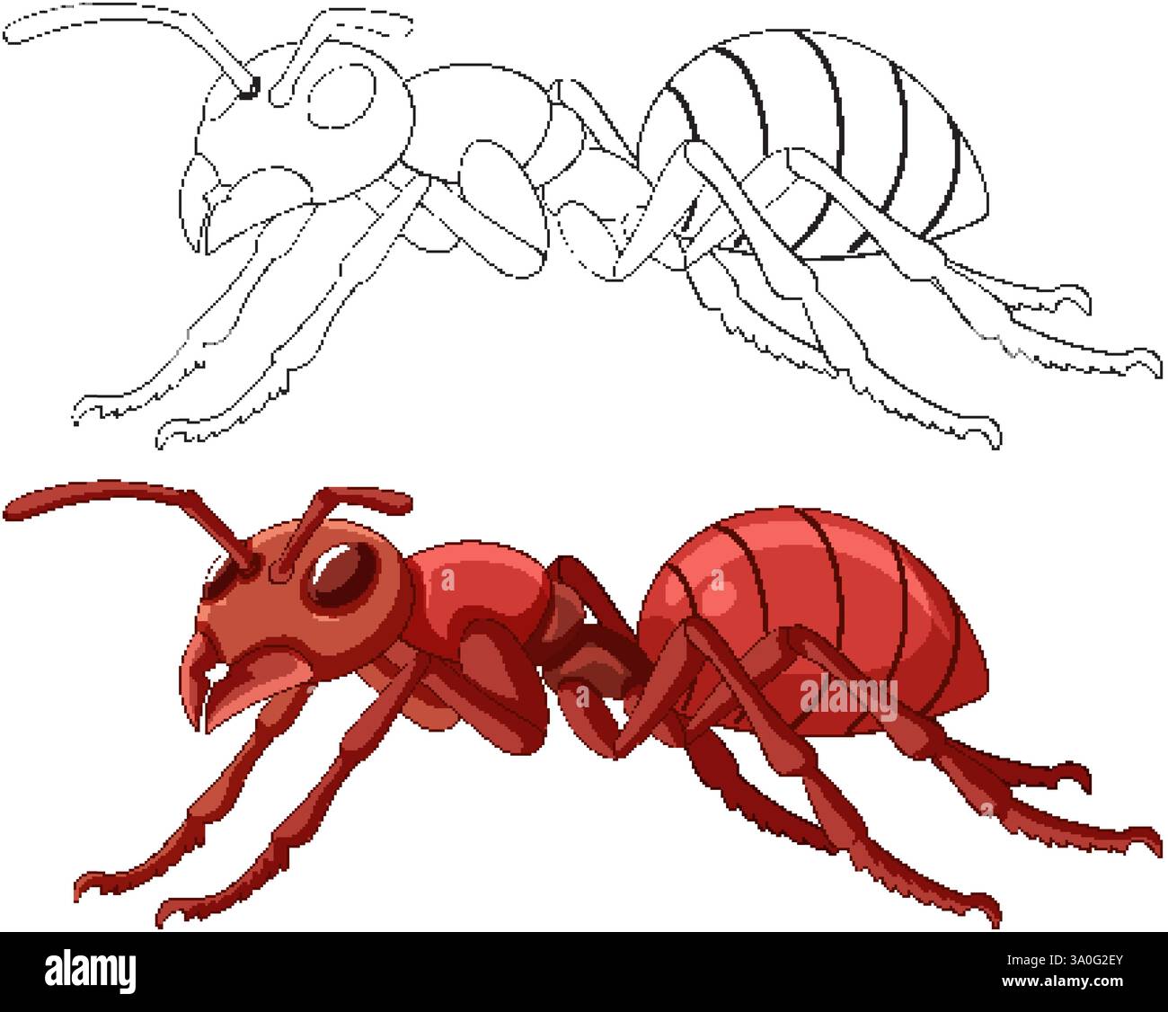Vector illustration of a red ant with detailed outline drawing Stock ...