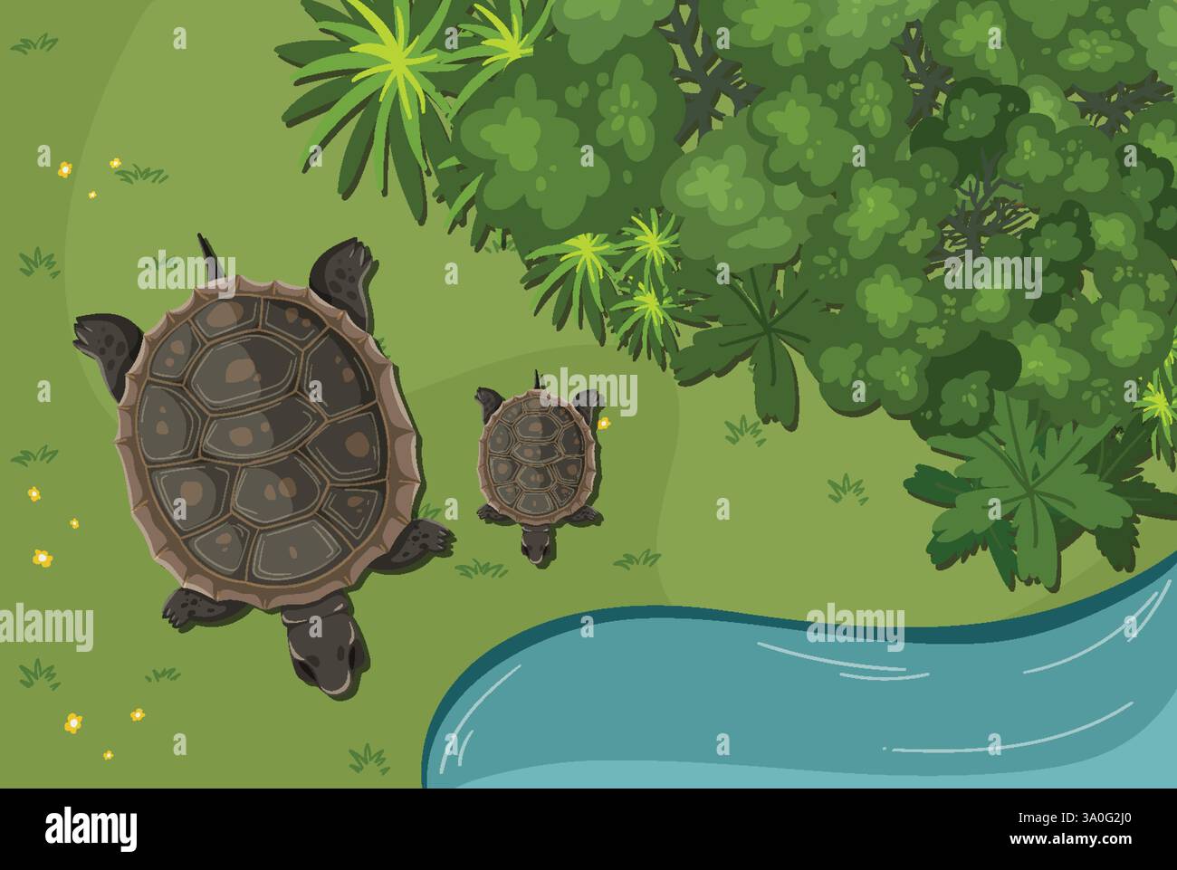 Turtles conservation Stock Vector Images - Alamy