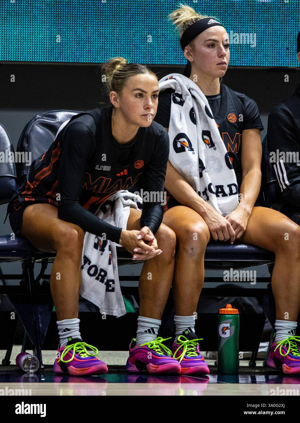 2025 1299 jpg hi-res stock photography and images - Alamy