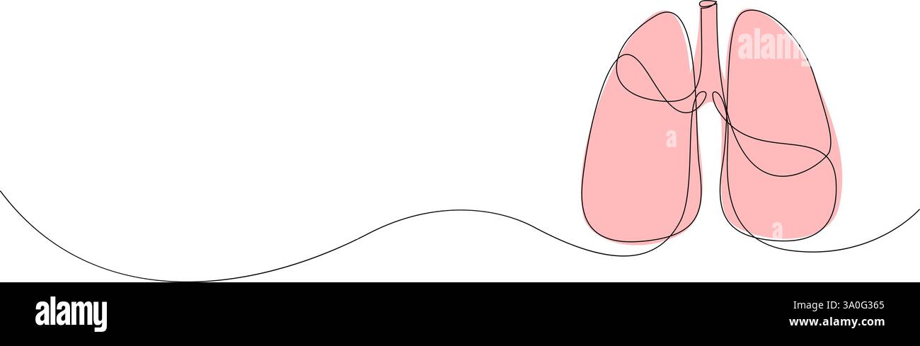 Anatomical human lungs organ continuous one line drawing. Vector ...