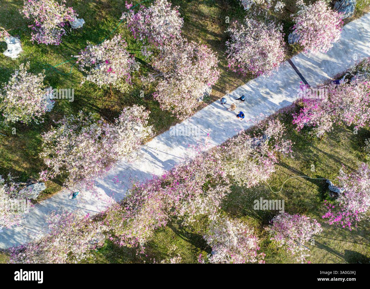 **CHINESE MAINLAND, HONG KONG, MACAU AND TAIWAN OUT** People admire ...