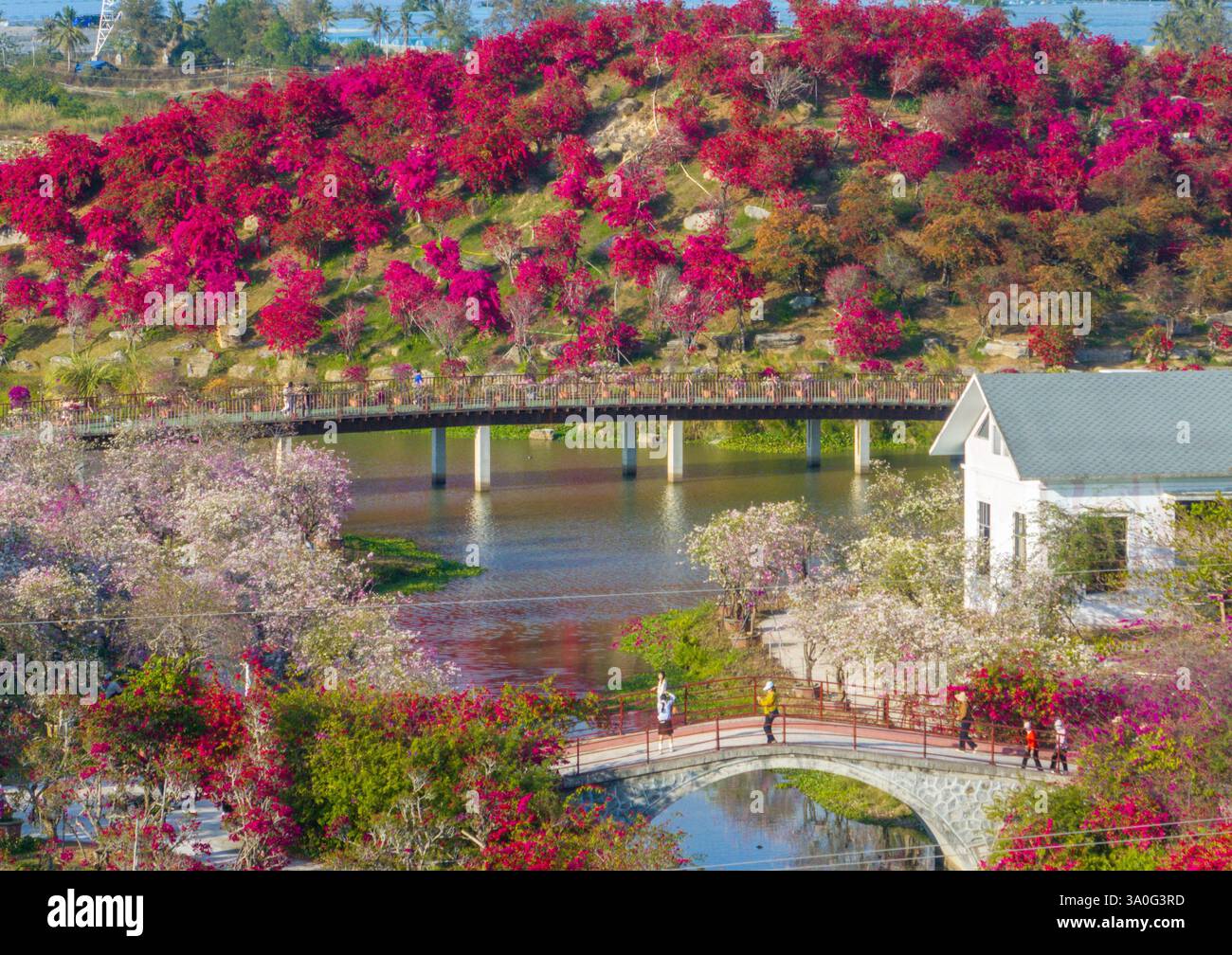 **CHINESE MAINLAND, HONG KONG, MACAU AND TAIWAN OUT** People admire ...