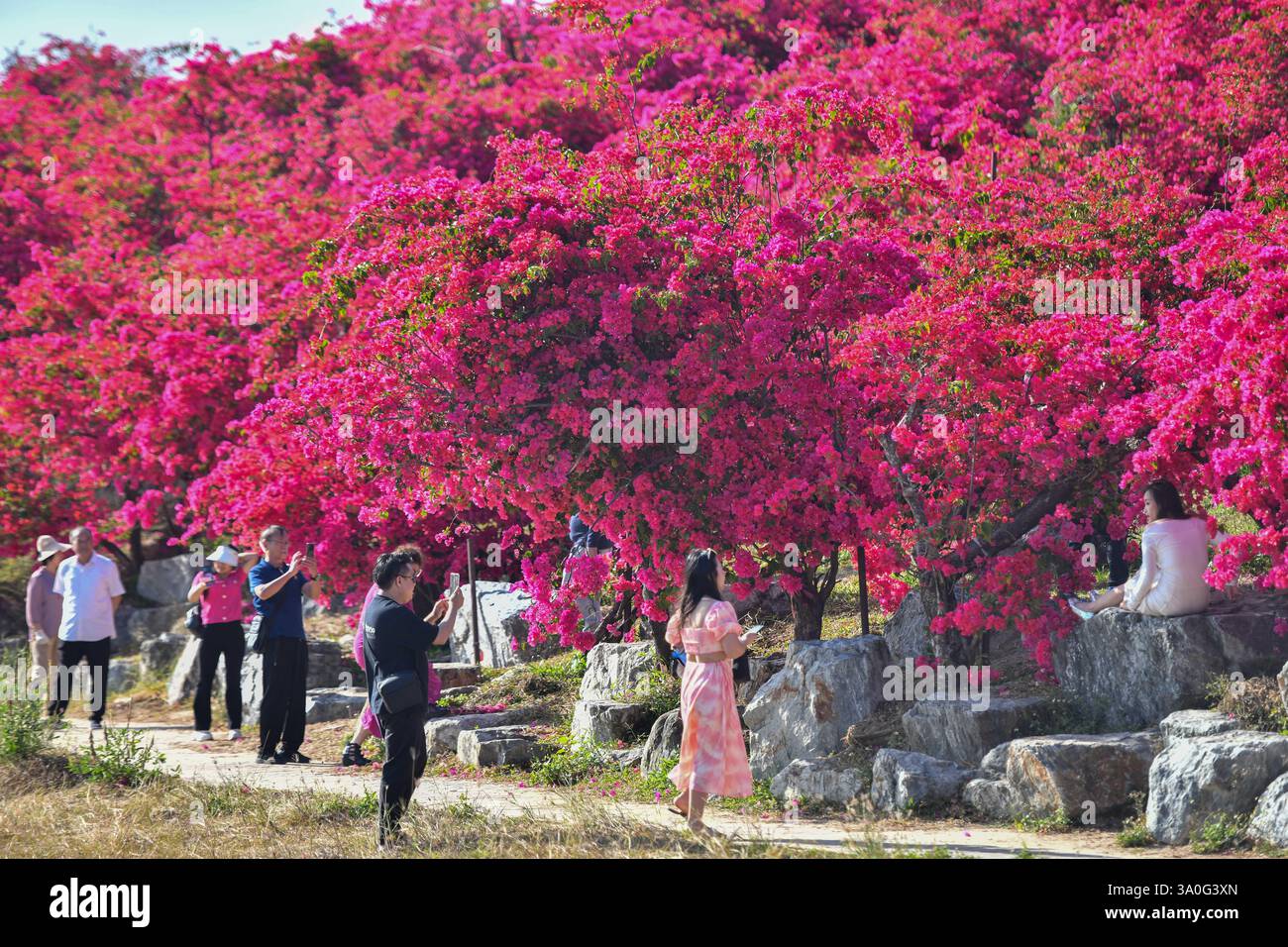 **CHINESE MAINLAND, HONG KONG, MACAU AND TAIWAN OUT** People admire ...