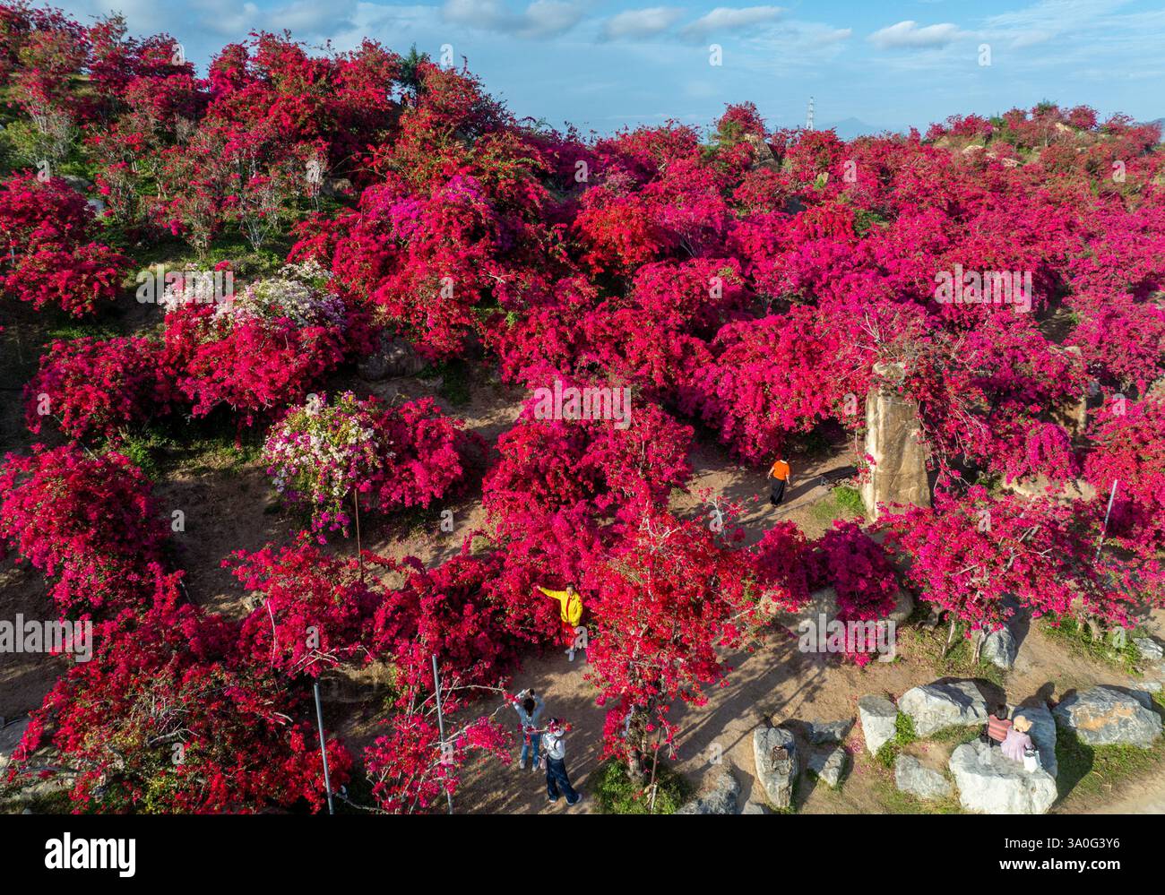 **CHINESE MAINLAND, HONG KONG, MACAU AND TAIWAN OUT** People admire ...