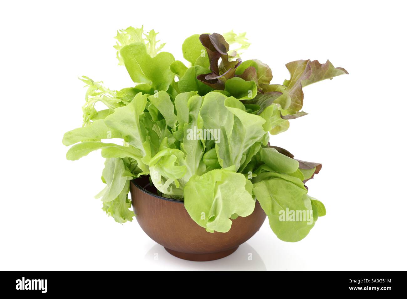 Growing vegetables in the kitchen, Potted plants small lettuce, leaf ...