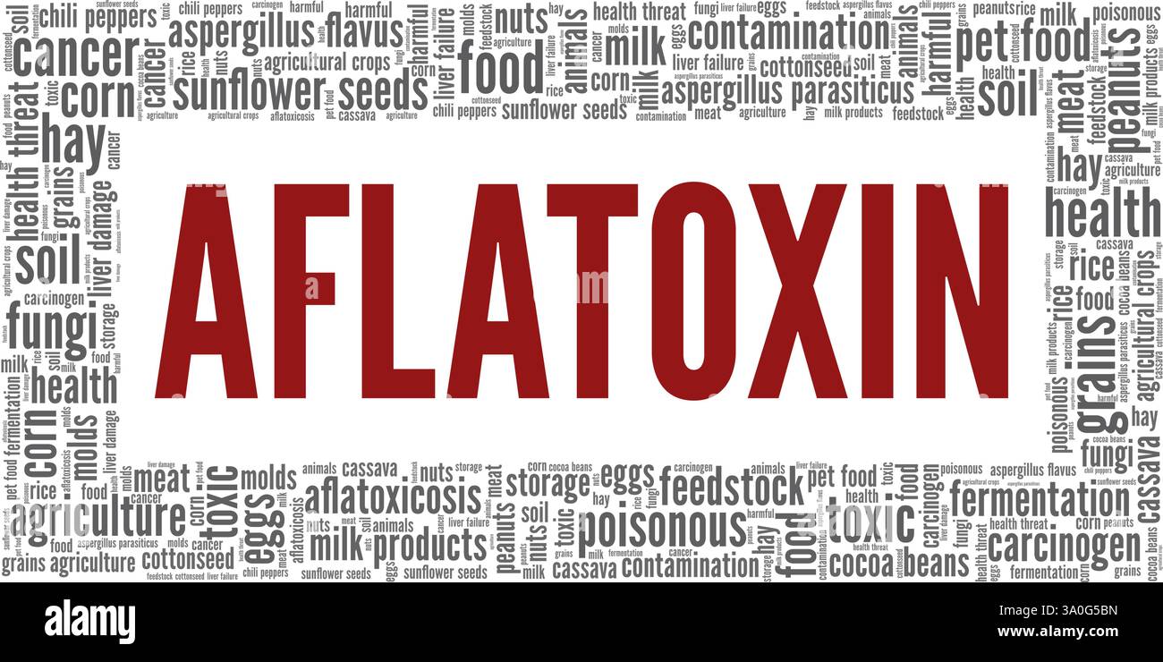 Aflatoxin vector illustration word cloud isolated on a white background ...