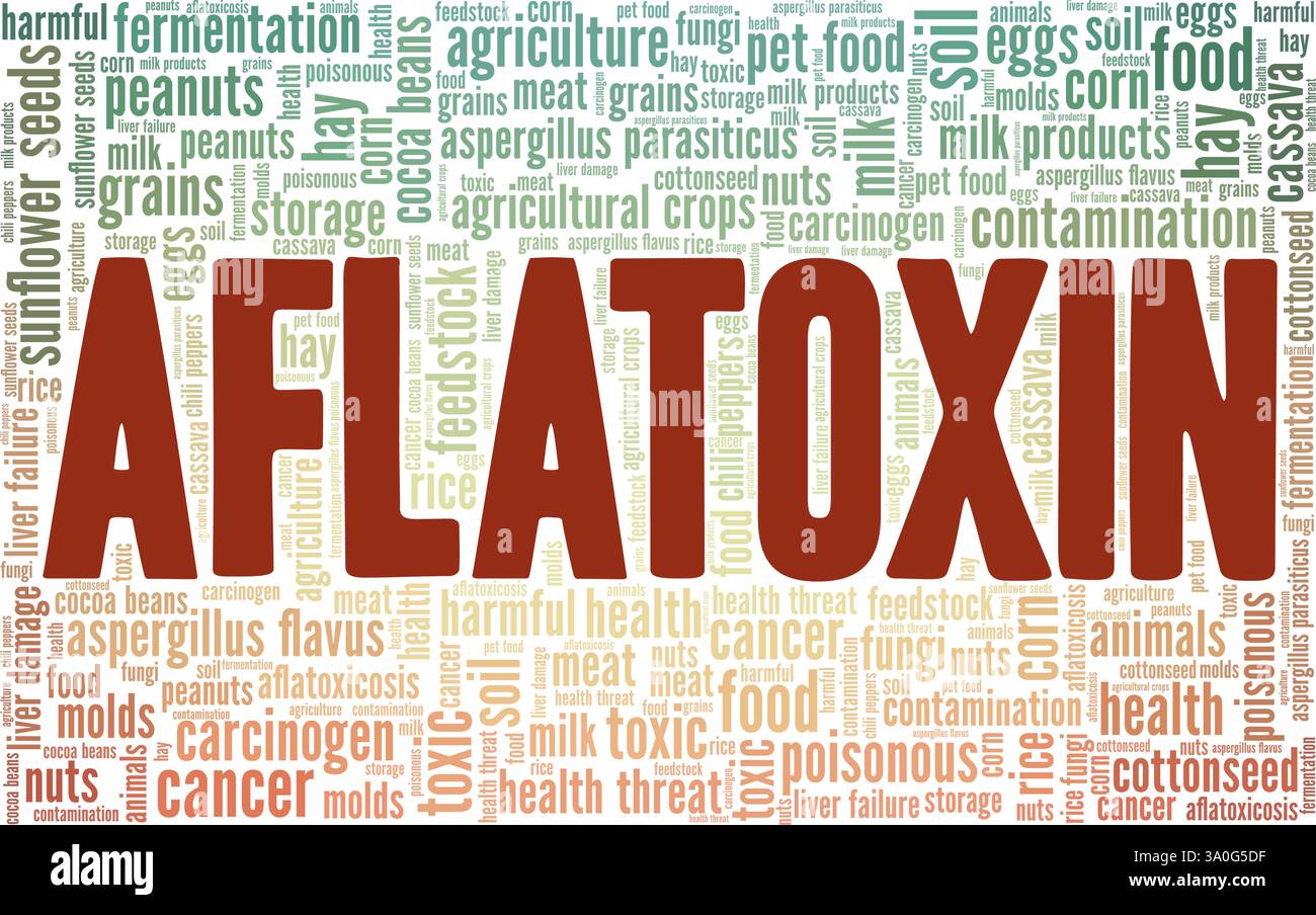 Aflatoxin vector illustration word cloud isolated on a white background ...