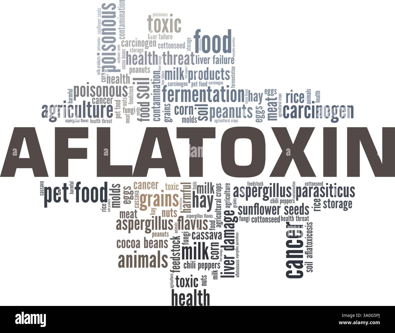 Aflatoxin vector illustration word cloud isolated on a white background ...