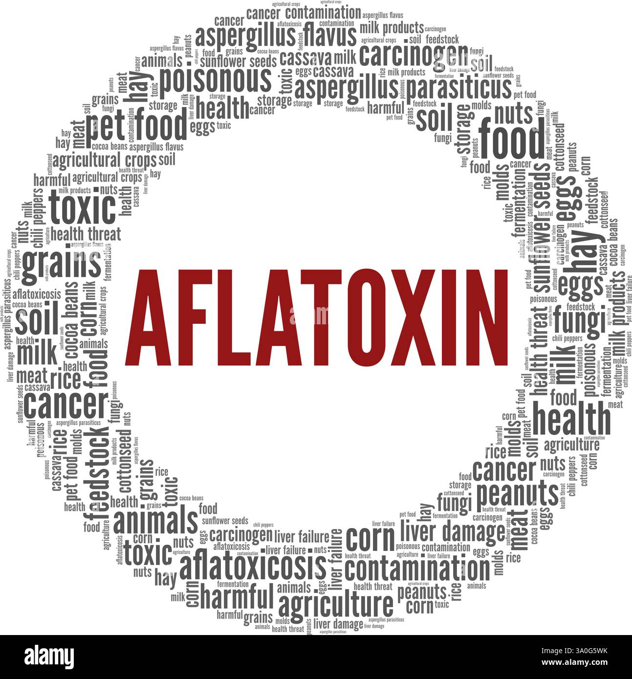 Aflatoxin vector illustration word cloud isolated on a white background ...