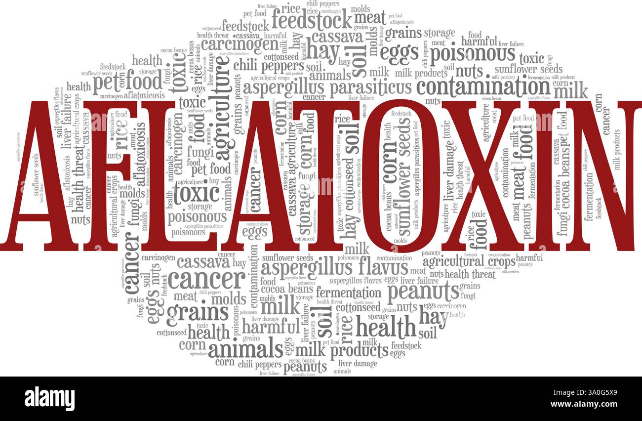 Aflatoxin vector illustration word cloud isolated on a white background Stock Vector Image & Art ...