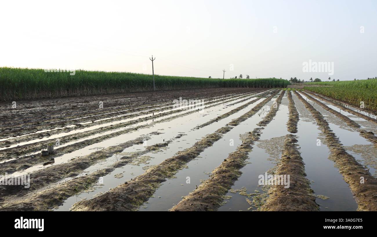 Organic farm land hi-res stock photography and images - Alamy