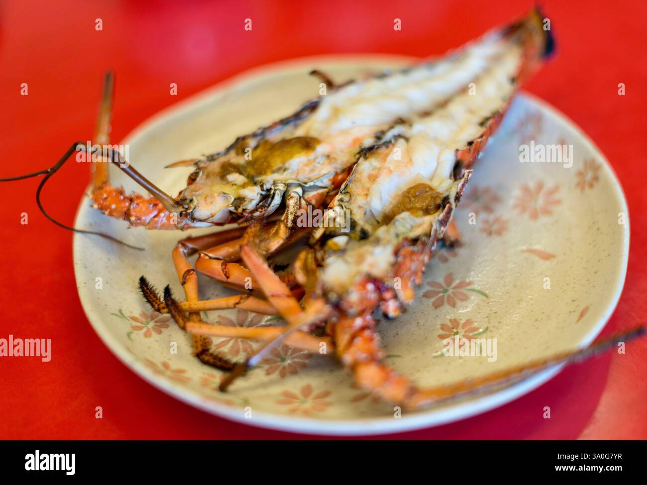 Ise-ebi (Japanese spiny lobster) that has been dried for "himono ...