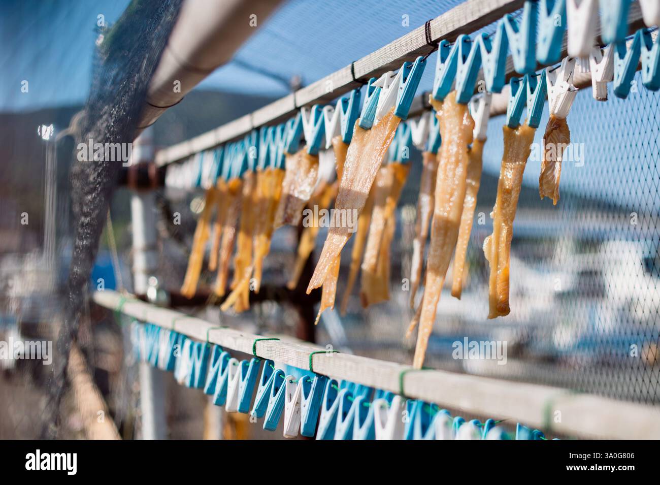 Same-dare (shark meat marinated in soy sauce) hangs out to dry on the ...