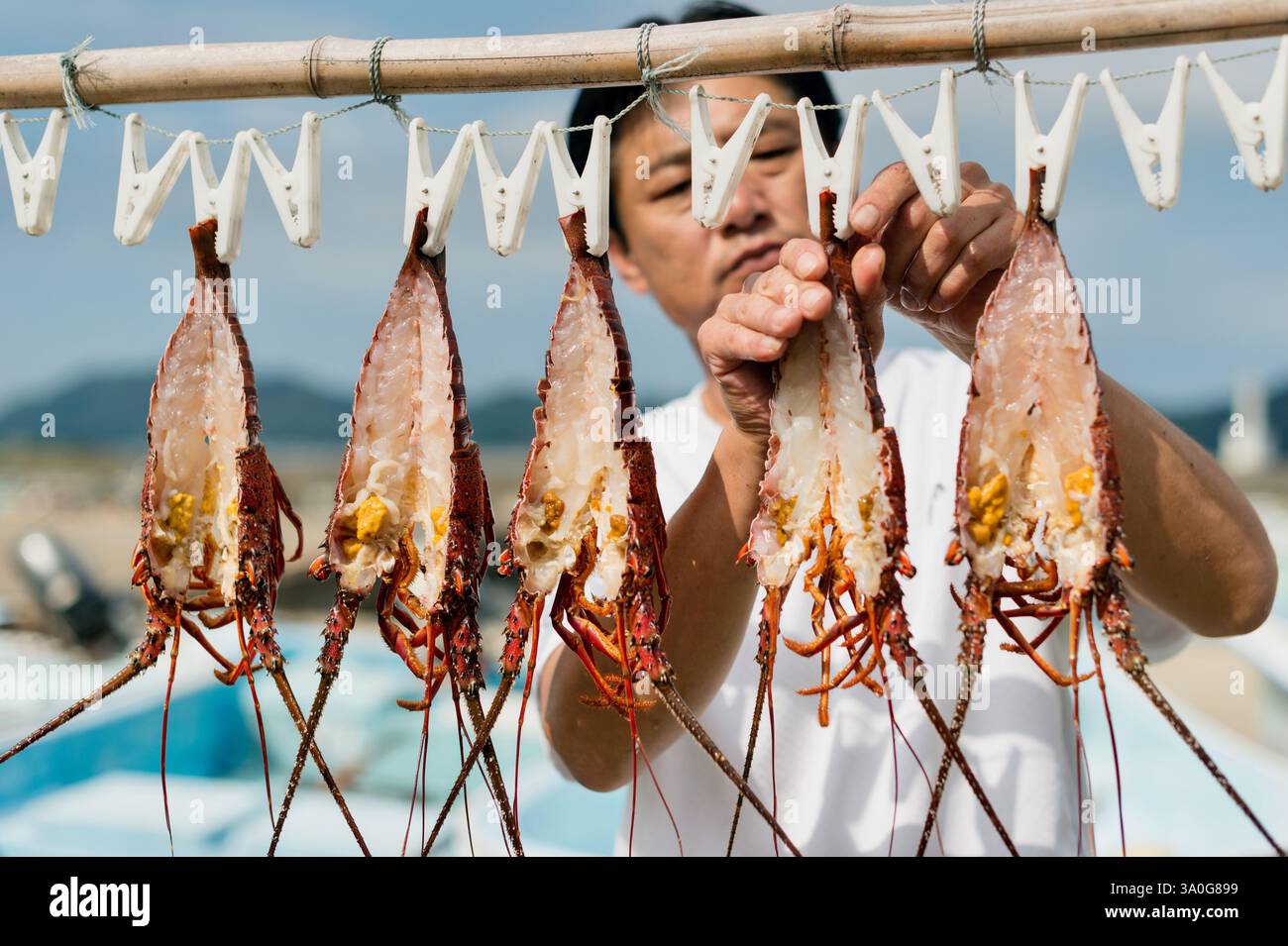 Lobster pegs hi-res stock photography and images - Alamy