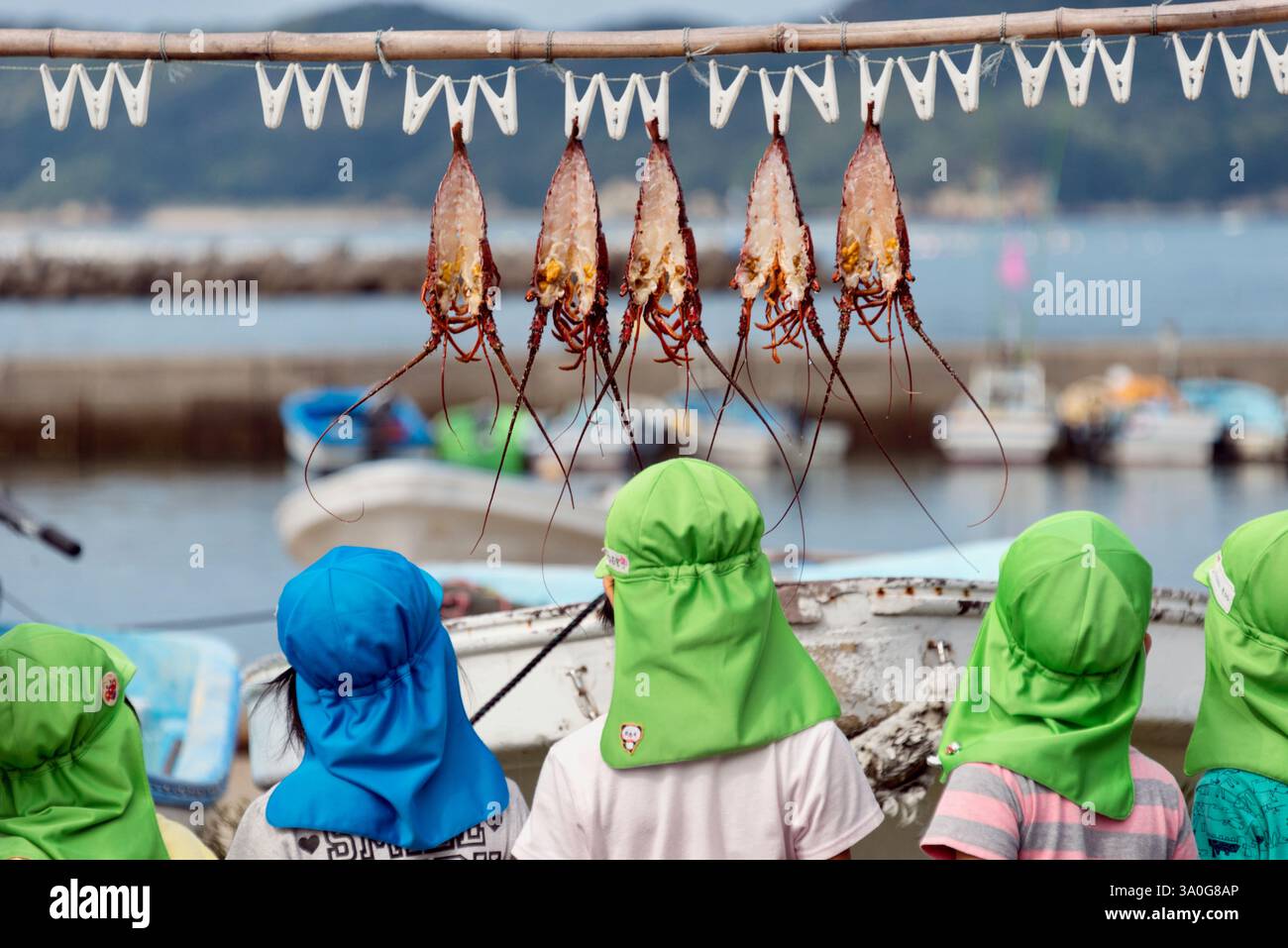 Kindergarten children look at Ise-ebi (Japanese spiny lobster) hanging ...