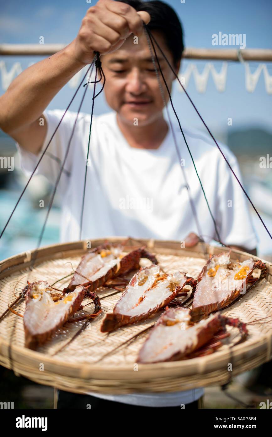 Hiroyuki Matsumura hangs out Ise-ebi (Japanese spiny lobster) to dry as ...